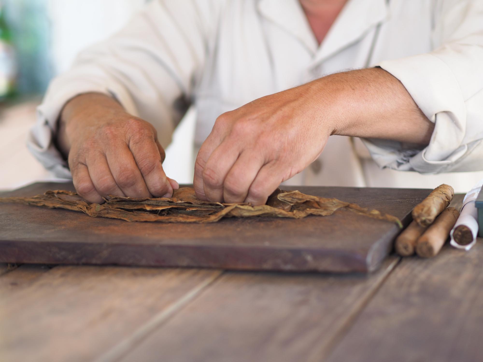 A Game-Changing Breakthrough in Cuban Tobacco Cultivation with Matoto ...