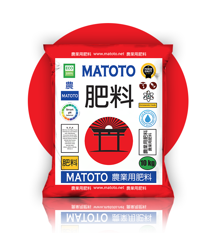 Promotion – Matoto