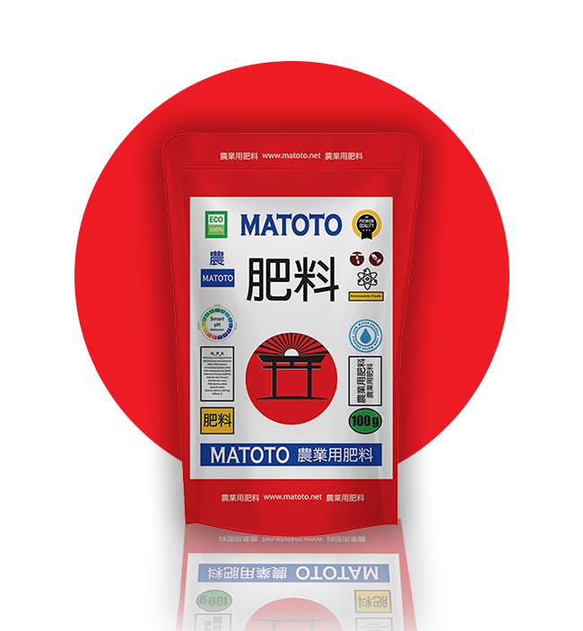 Promotion – Matoto
